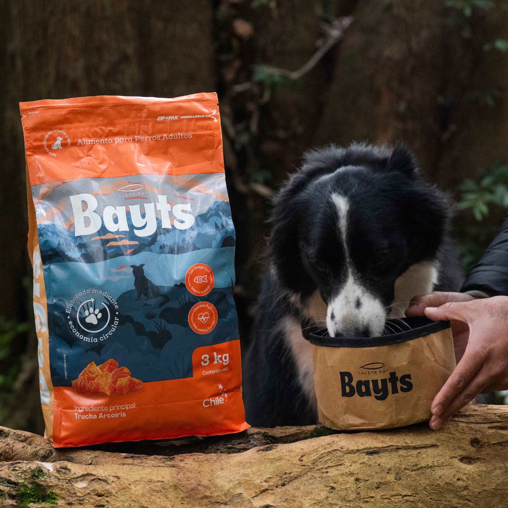 Bayts – Dale a tus mascotas lo MEJOR DE LA NATURALEZA